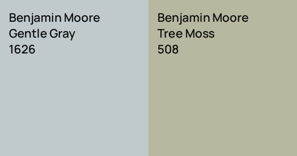 Benjamin Moore Gentle Gray vs. Benjamin Moore Tree Moss comparison