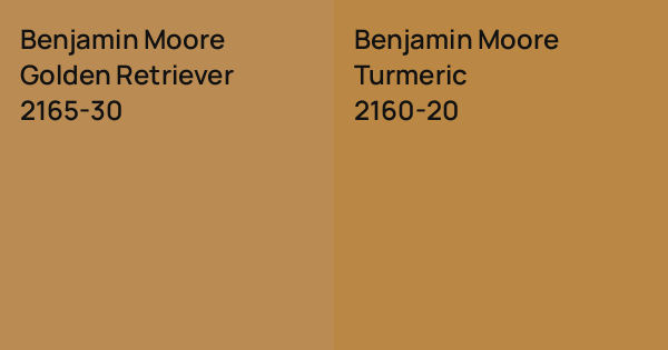 Benjamin Moore Golden Retriever vs. Benjamin Moore Turmeric comparison