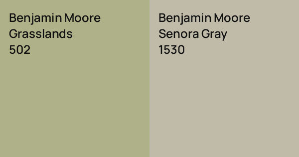 Benjamin Moore Grasslands vs. Benjamin Moore Senora Gray comparison