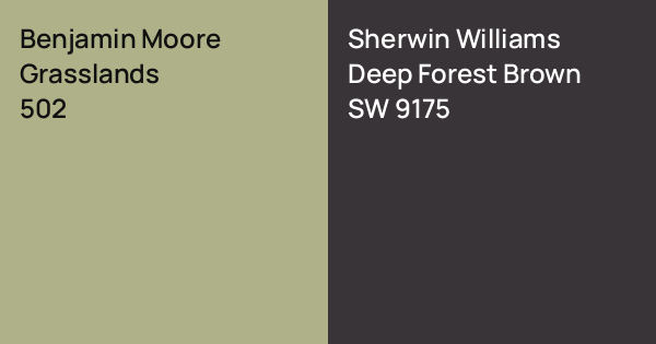 Benjamin Moore Grasslands vs. Sherwin Williams Deep Forest Brown comparison