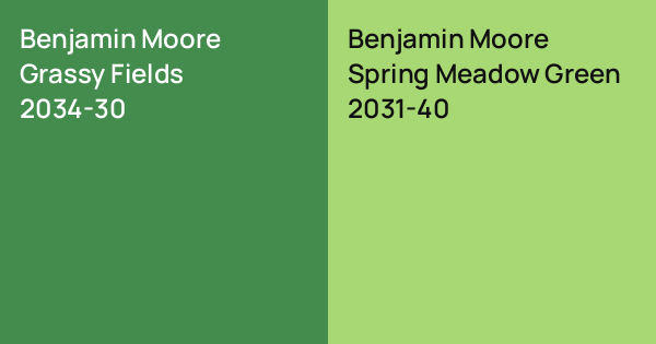 Benjamin Moore Grassy Fields vs. Benjamin Moore Spring Meadow Green ...
