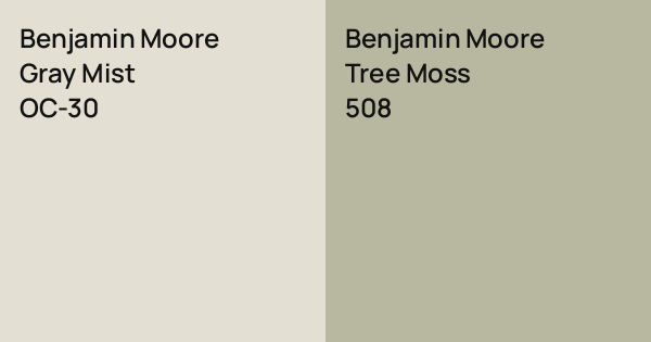 Benjamin Moore Gray Mist vs. Benjamin Moore Tree Moss comparison