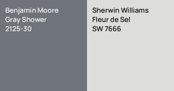 Benjamin Moore Gray Shower vs. Sherwin Williams Fleur de Sel comparison