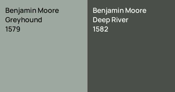 Benjamin Moore Greyhound vs. Benjamin Moore Deep River comparison
