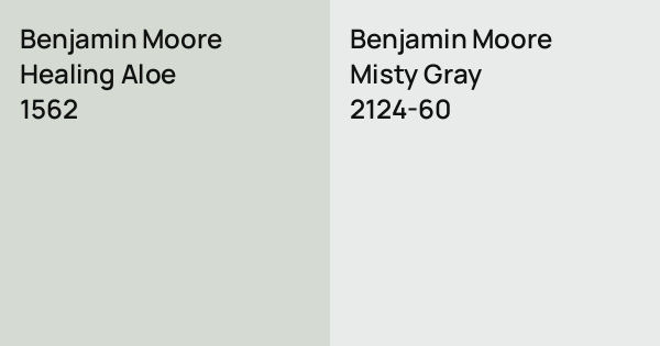 Benjamin Moore Healing Aloe vs. Benjamin Moore Misty Gray comparison