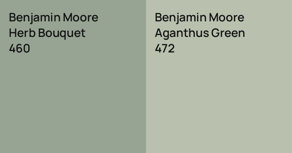 Benjamin Moore Herb Bouquet vs. Benjamin Moore Aganthus Green comparison