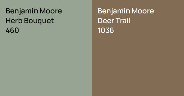 Benjamin Moore Herb Bouquet vs. Benjamin Moore Deer Trail comparison