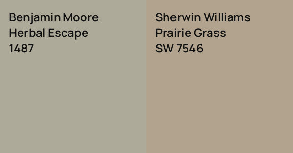 Benjamin Moore Herbal Escape vs. Sherwin Williams Prairie Grass comparison
