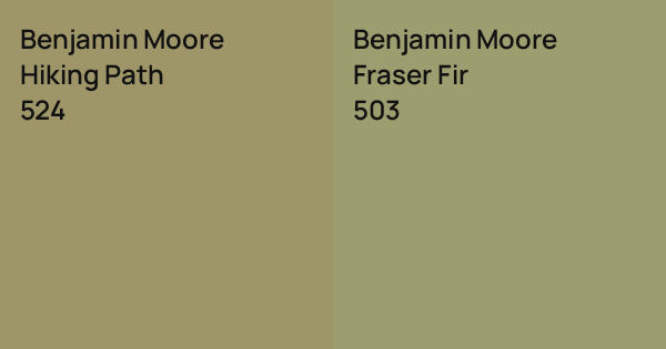 Benjamin Moore Hiking Path vs. Benjamin Moore Fraser Fir comparison