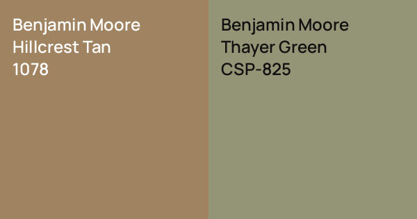 Benjamin Moore Hillcrest Tan vs. Benjamin Moore Thayer Green comparison