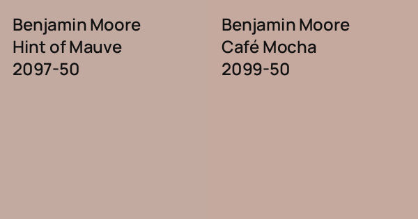 Benjamin Moore Hint of Mauve vs. Benjamin Moore Café Mocha comparison