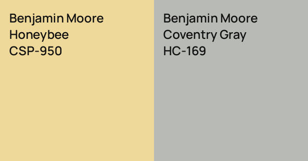 Benjamin Moore Honeybee vs. Benjamin Moore Coventry Gray comparison