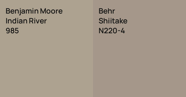 Benjamin Moore Indian River vs. Behr Shiitake comparison