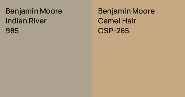 Benjamin Moore Indian River vs. Benjamin Moore Camel Hair comparison