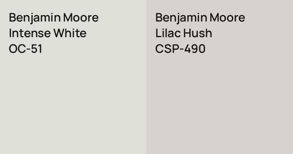 Benjamin Moore Intense White vs. Benjamin Moore Lilac Hush comparison