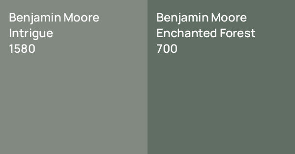 Benjamin Moore Intrigue vs. Benjamin Moore Enchanted Forest comparison