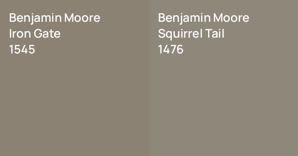 Benjamin Moore Iron Gate vs. Benjamin Moore Squirrel Tail comparison
