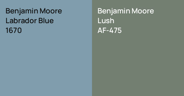 Benjamin Moore Labrador Blue vs. Benjamin Moore Lush comparison