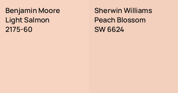 Benjamin Moore Light Salmon vs. Sherwin Williams Peach Blossom comparison
