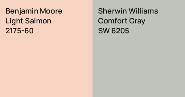Benjamin Moore Light Salmon vs. Sherwin Williams Comfort Gray comparison