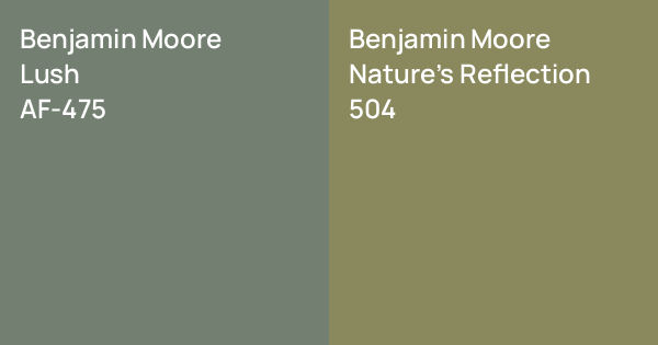 Benjamin Moore Lush vs. Benjamin Moore Nature's Reflection comparison