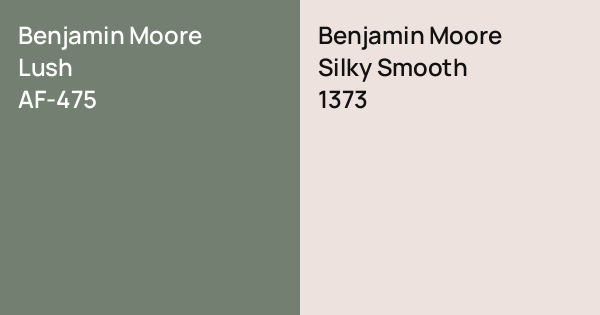 Benjamin Moore Lush vs. Benjamin Moore Silky Smooth comparison