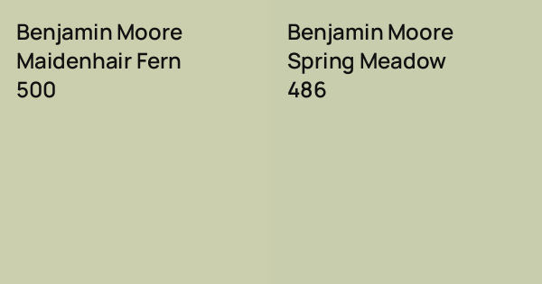 Benjamin Moore Maidenhair Fern vs. Benjamin Moore Spring Meadow comparison