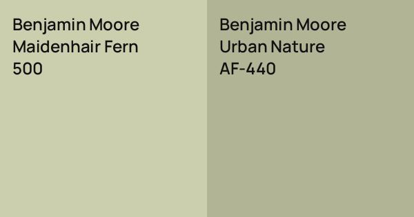 Benjamin Moore Maidenhair Fern vs. Benjamin Moore Urban Nature comparison