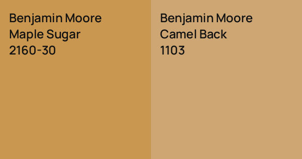 Benjamin Moore Maple Sugar vs. Benjamin Moore Camel Back comparison