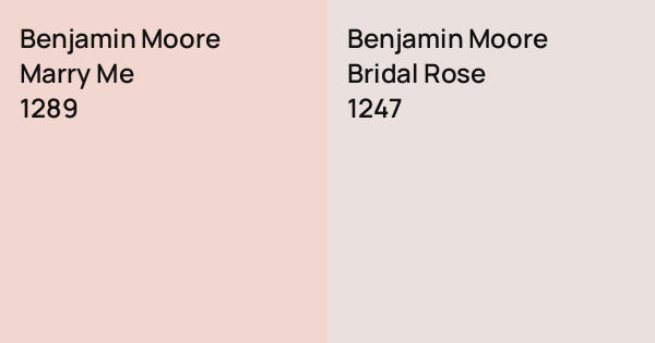 Benjamin Moore Marry Me vs. Benjamin Moore Bridal Rose comparison
