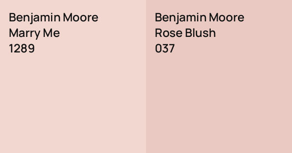 Benjamin Moore Marry Me vs. Benjamin Moore Rose Blush comparison
