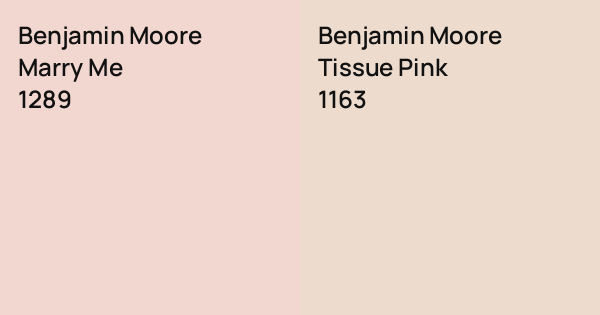 Benjamin Moore Marry Me vs. Benjamin Moore Tissue Pink comparison