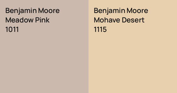 Benjamin Moore Meadow Pink vs. Benjamin Moore Mohave Desert comparison