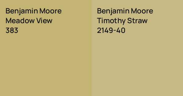 Benjamin Moore Meadow View vs. Benjamin Moore Timothy Straw comparison