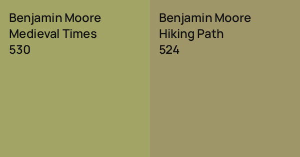 Benjamin Moore Medieval Times vs. Benjamin Moore Hiking Path comparison