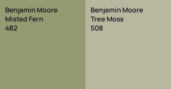 Benjamin Moore Misted Fern vs. Benjamin Moore Tree Moss comparison