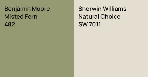 Benjamin Moore Misted Fern vs. Sherwin Williams Natural Choice comparison