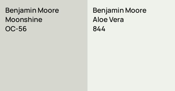 Benjamin Moore Moonshine vs. Benjamin Moore Aloe Vera comparison