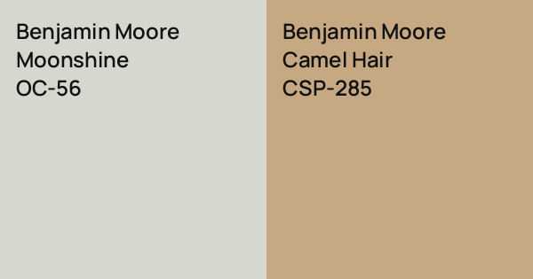 Benjamin Moore Moonshine vs. Benjamin Moore Camel Hair comparison
