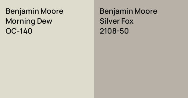 Benjamin Moore Morning Dew vs. Benjamin Moore Silver Fox comparison