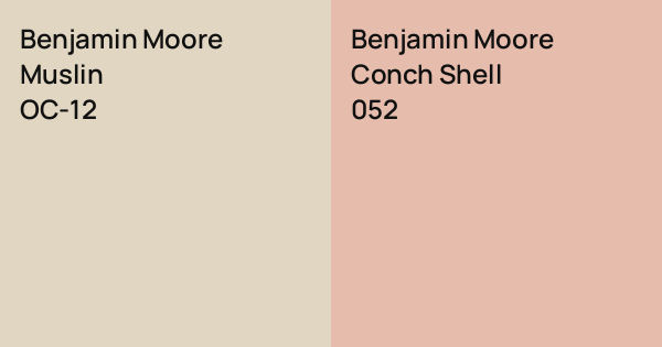 Benjamin Moore Muslin vs. Benjamin Moore Conch Shell comparison