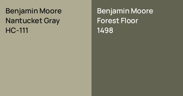 Benjamin Moore Nantucket Gray vs. Benjamin Moore Forest Floor comparison