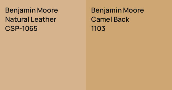 Benjamin Moore Natural Leather vs. Benjamin Moore Camel Back comparison