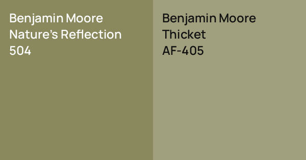 Benjamin Moore Nature's Reflection vs. Benjamin Moore Thicket comparison