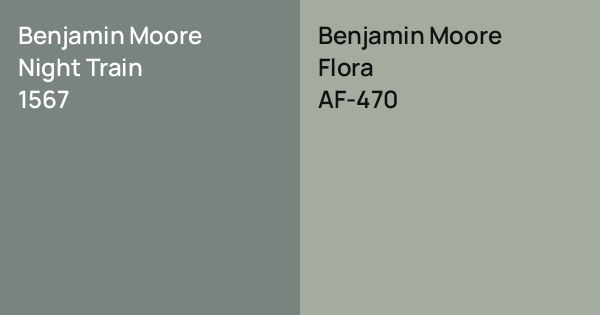 Benjamin Moore Night Train vs. Benjamin Moore Flora comparison