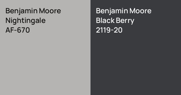 Benjamin Moore Nightingale vs. Benjamin Moore Black Berry comparison