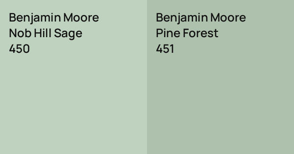 Benjamin Moore Nob Hill Sage vs. Benjamin Moore Pine Forest comparison