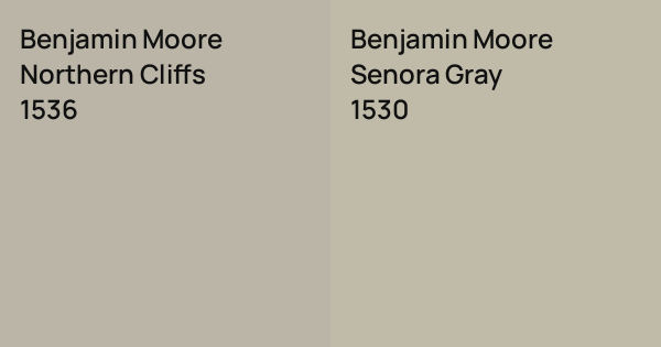 Benjamin Moore Northern Cliffs vs. Benjamin Moore Senora Gray comparison