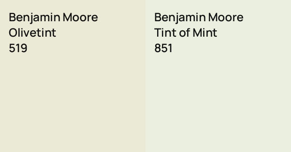 Benjamin Moore Olivetint vs. Benjamin Moore Tint of Mint comparison