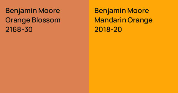 Benjamin Moore Orange Blossom vs. Benjamin Moore Mandarin Orange comparison